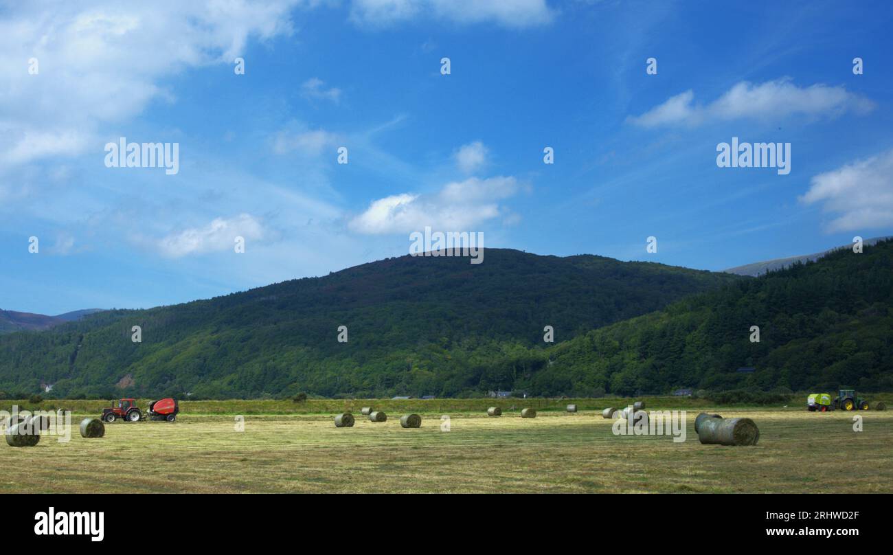 Farming in the snowdonia national park hi-res stock photography and ...