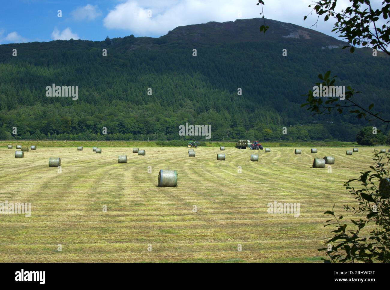 Farmers cutting grass in hi-res stock photography and images - Alamy