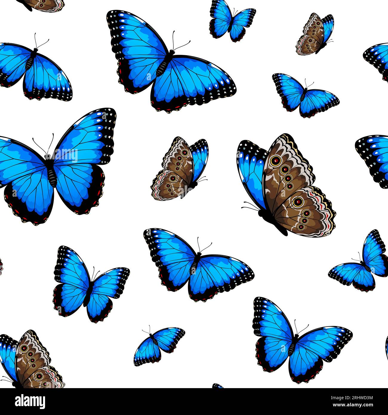 Seamless pattern with blue morpho butterflies, vector illustration ...