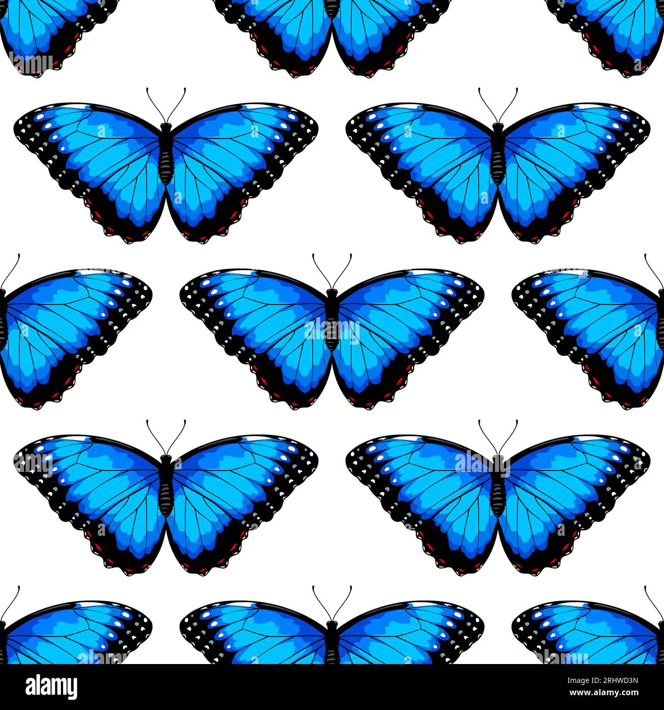 Seamless pattern with blue morpho butterflies, vector illustration ...