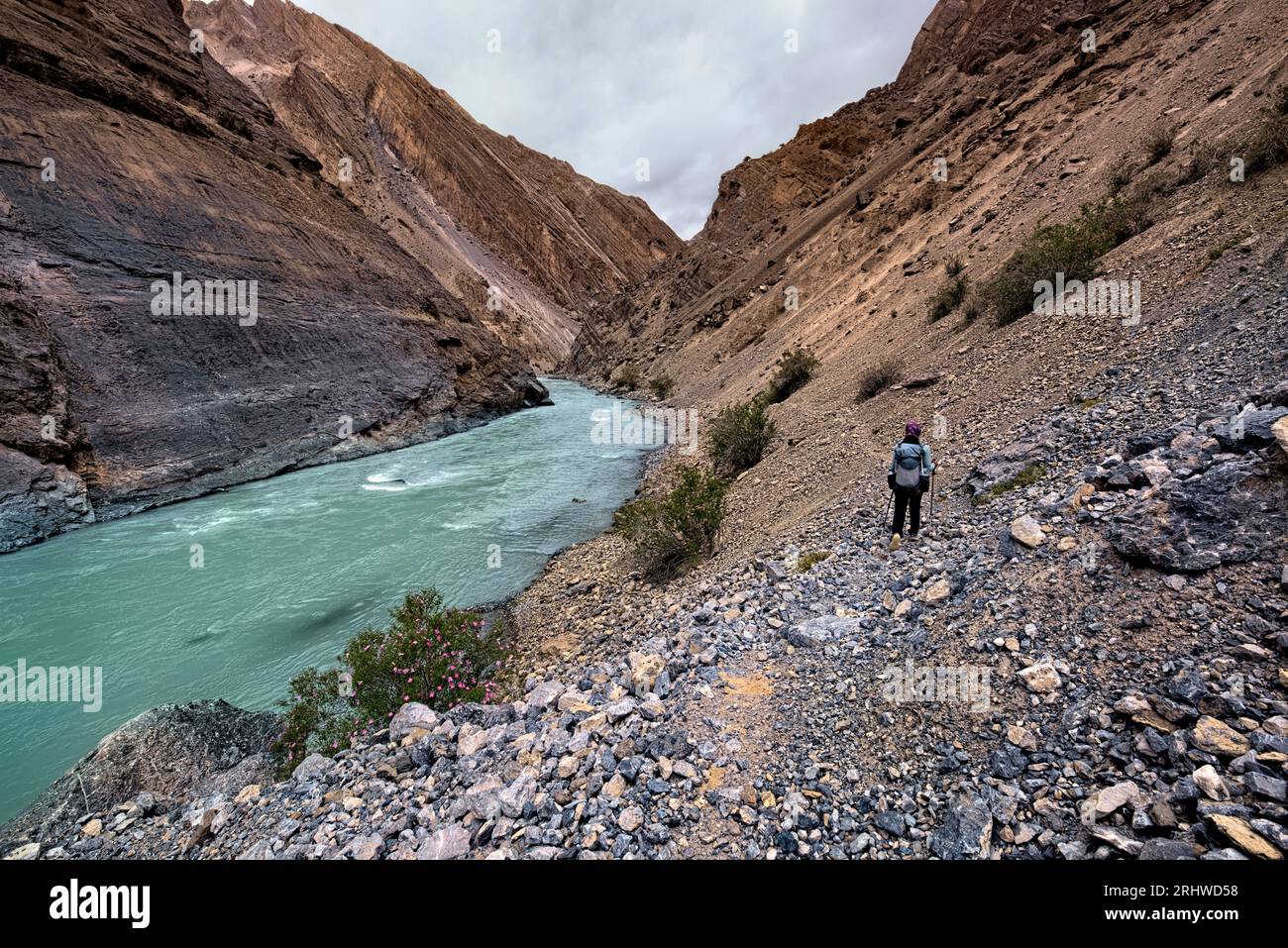 Trekking to Zanskar along the Tsarab Chu River, Ladakh, India Stock ...