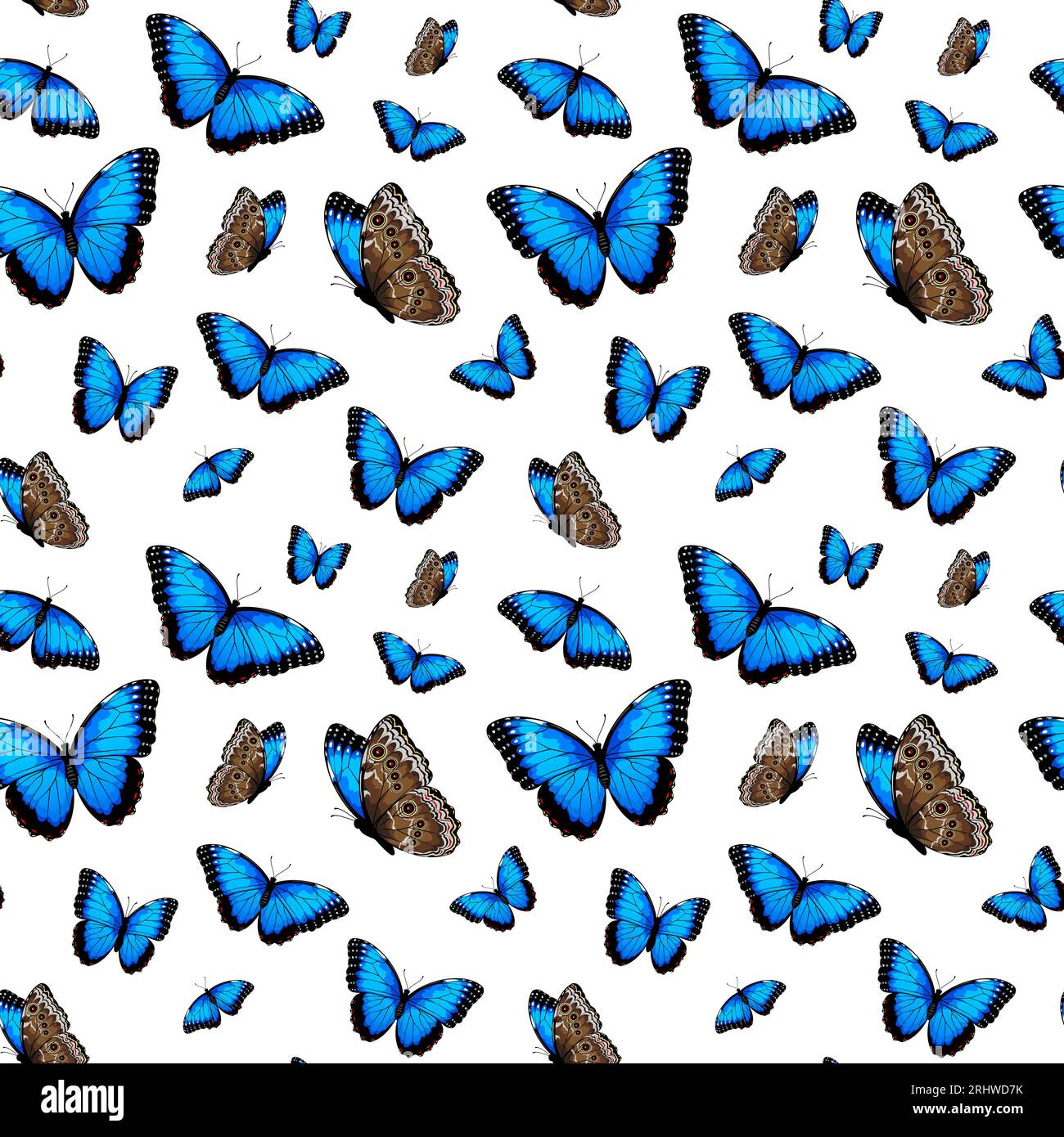 Seamless pattern with blue morpho butterflies, vector illustration ...