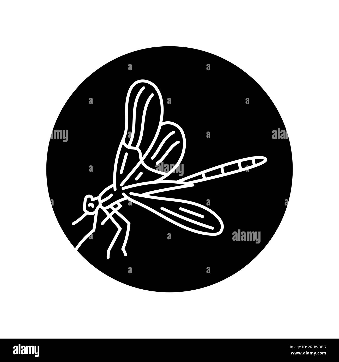 Dragonfly app Black and White Stock Photos & Images - Alamy