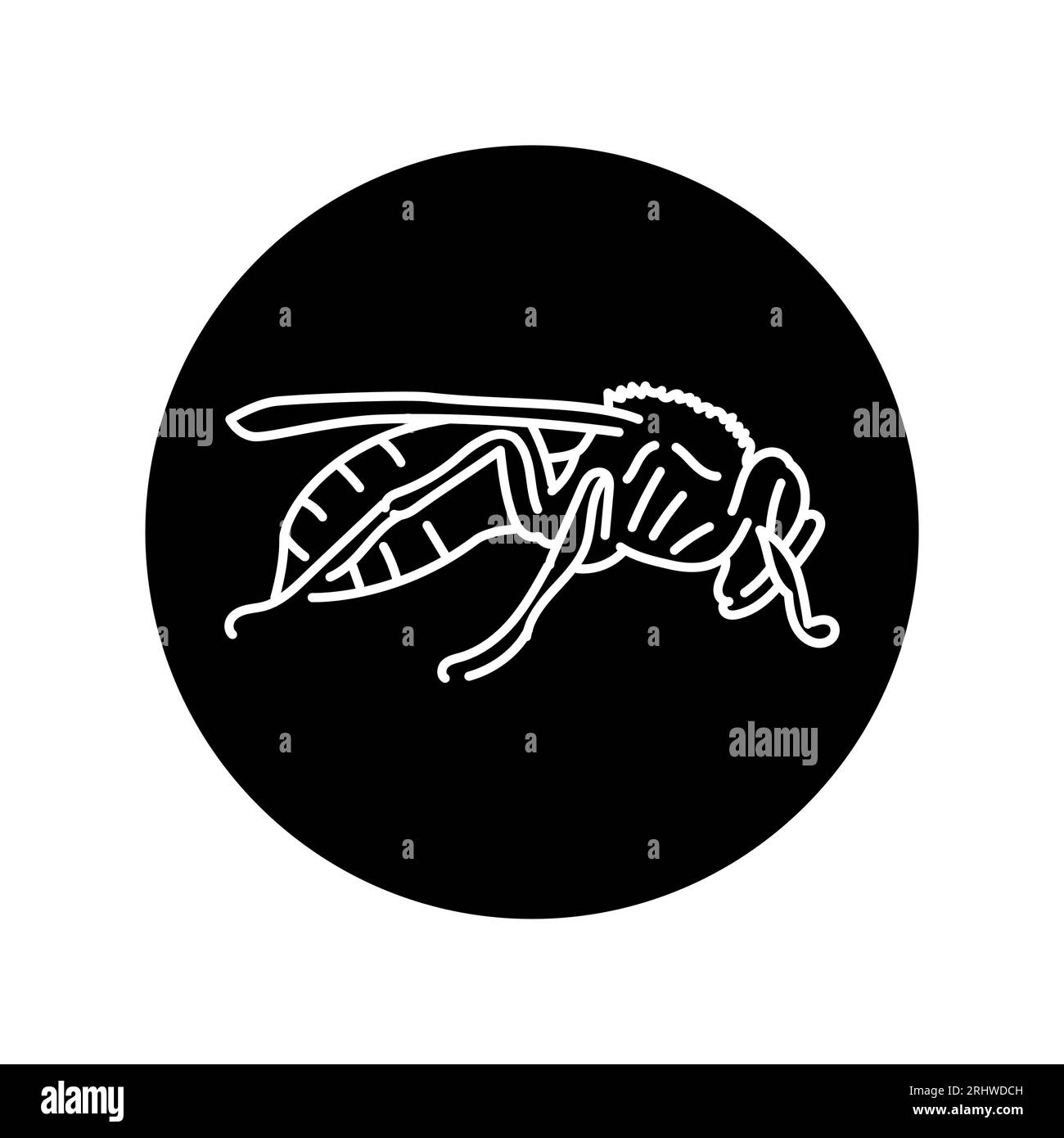 Hornet black line icon. Pictogram for web page, mobile app, promo Stock ...