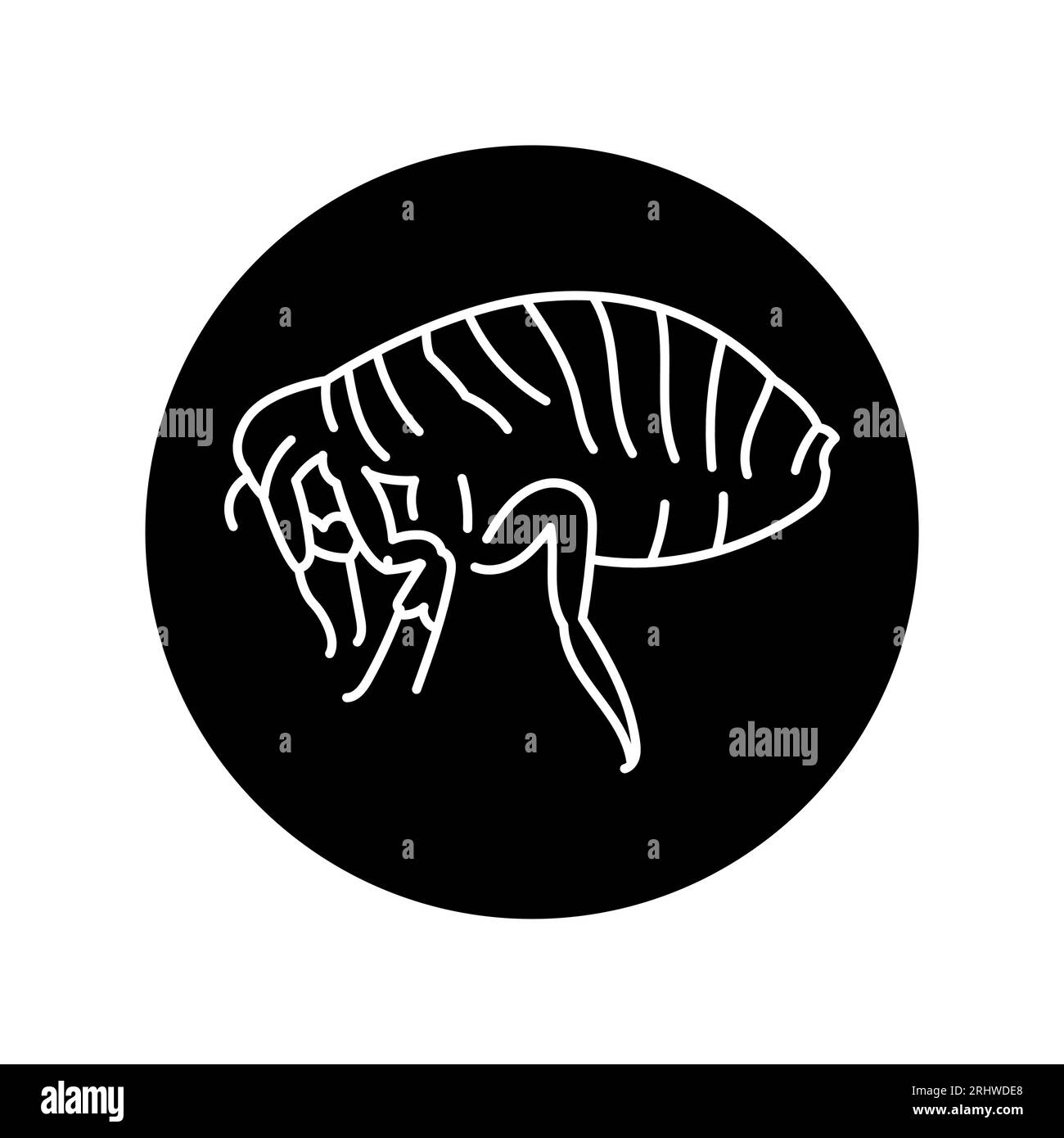 Flea black line icon. Pictogram for web page, mobile app, promo Stock ...