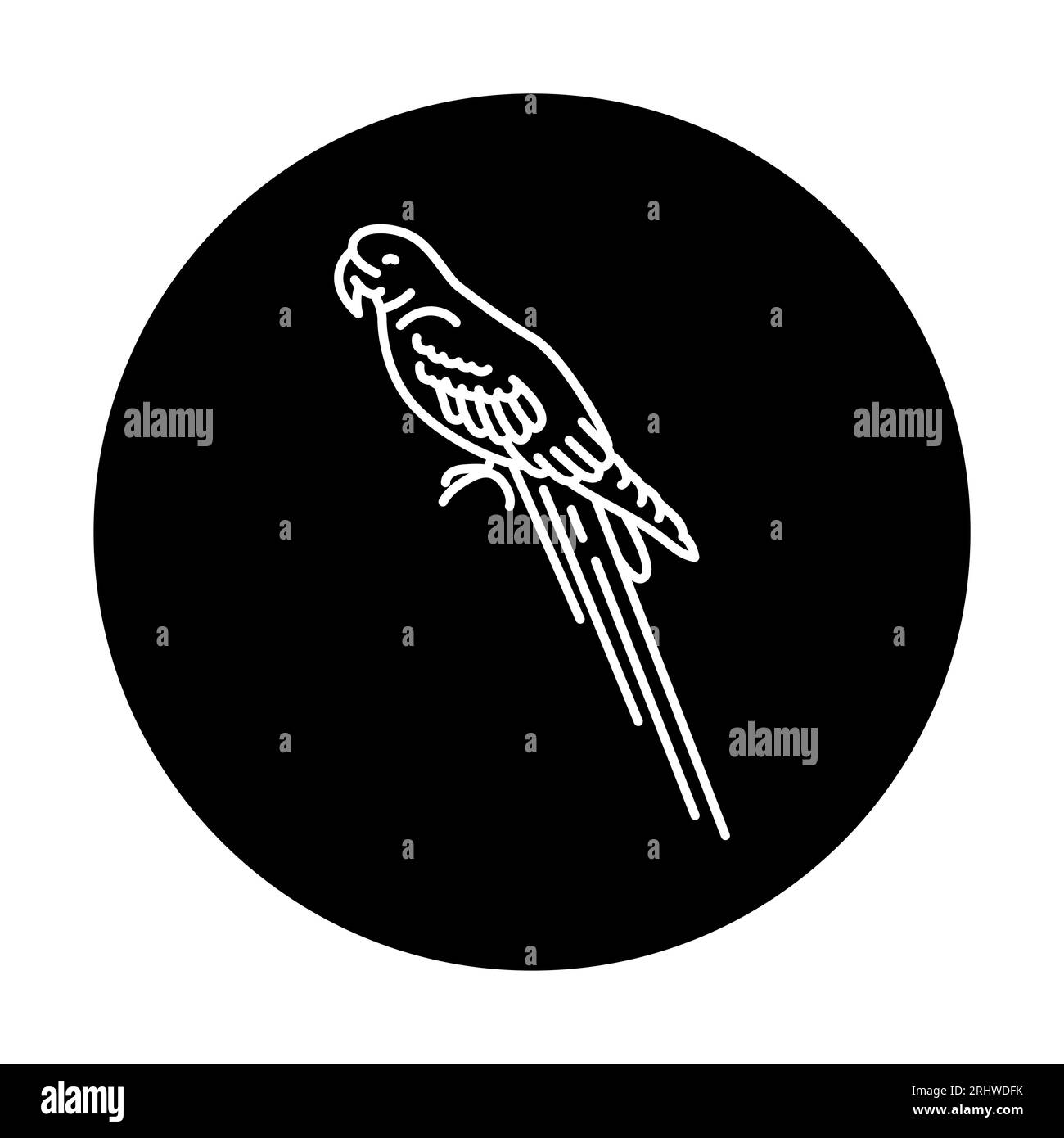 Macaw bird cartoon Black and White Stock Photos & Images - Alamy