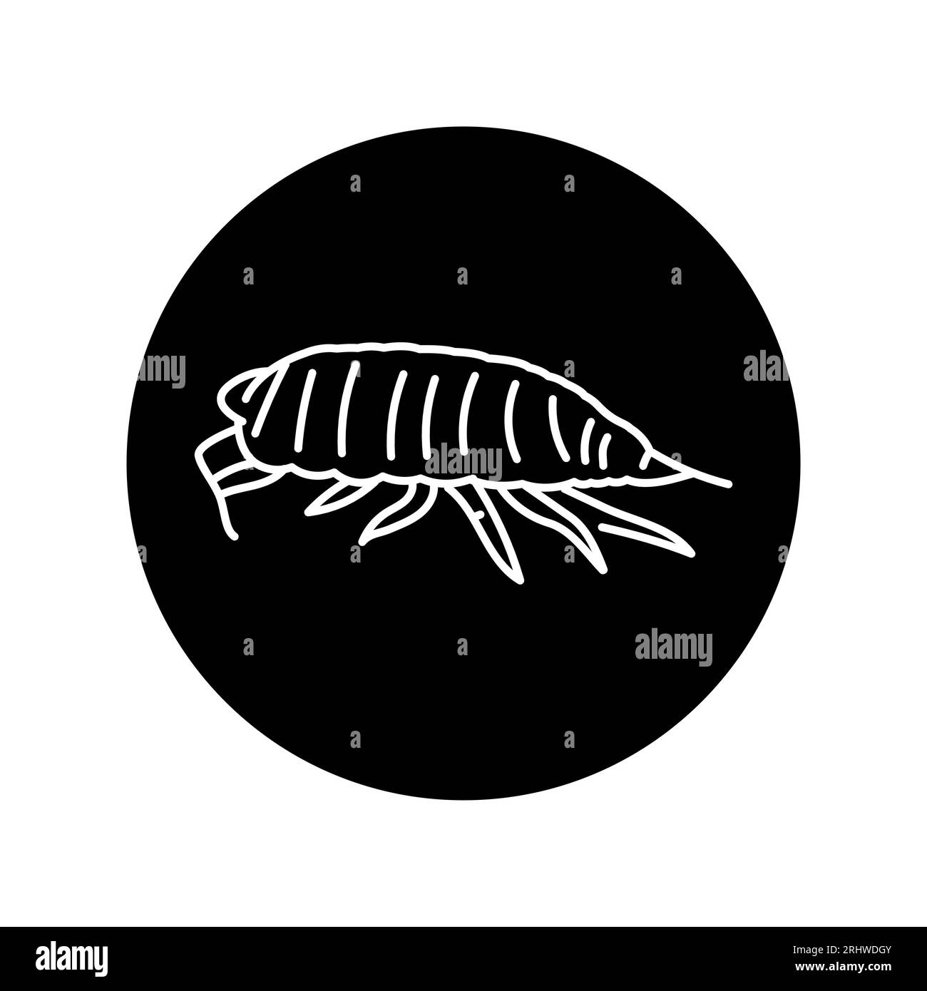 Parasite microscope Stock Vector Images - Alamy