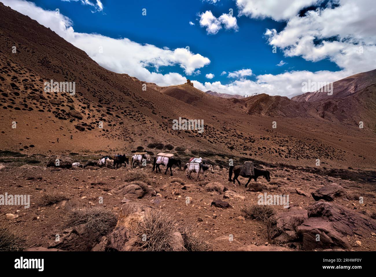 High desert scenery on a trekking expedition to Zanskar, Ladakh, India ...