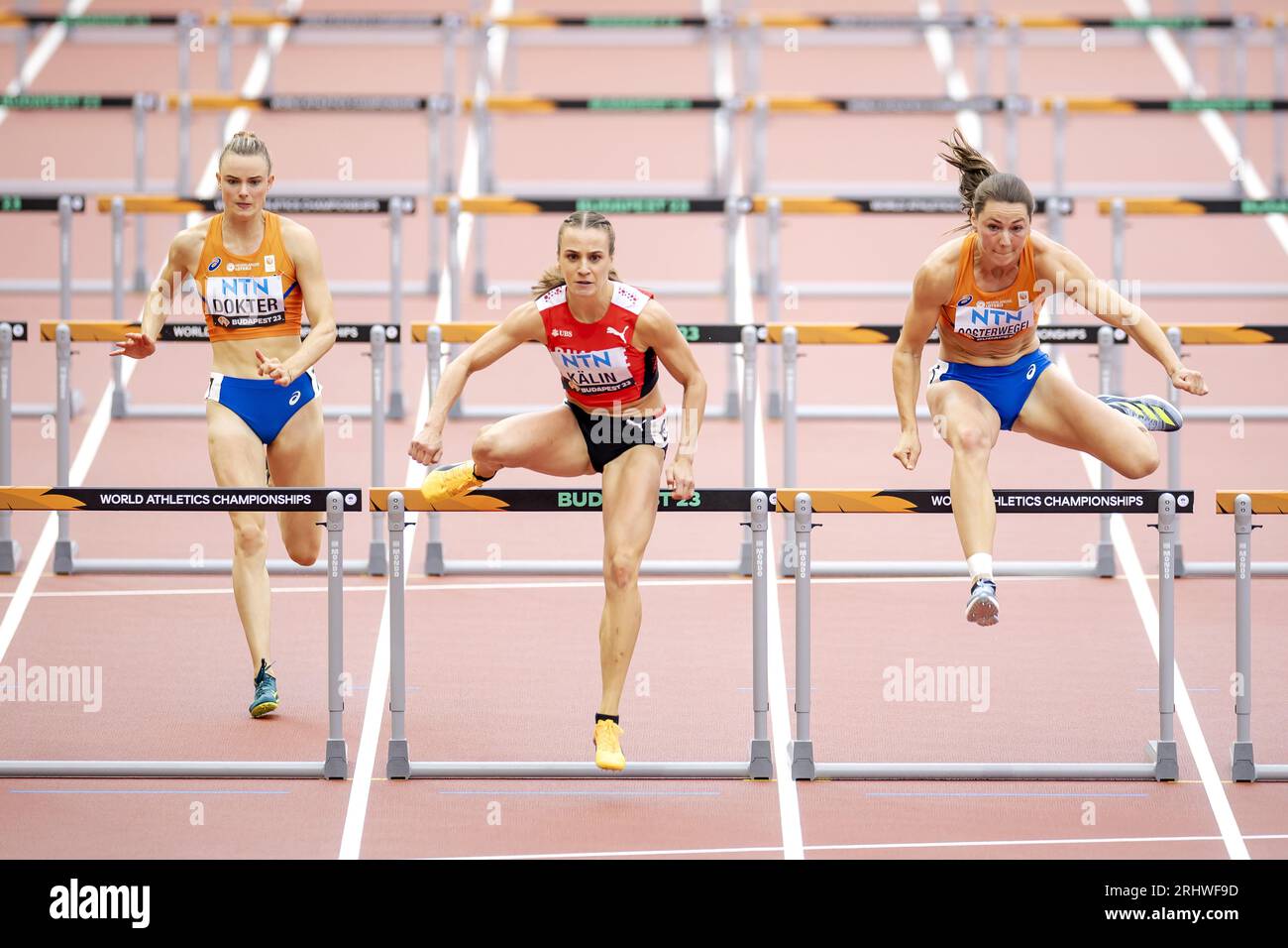 Emma oosterwegel 2023 hi-res stock photography and images - Alamy