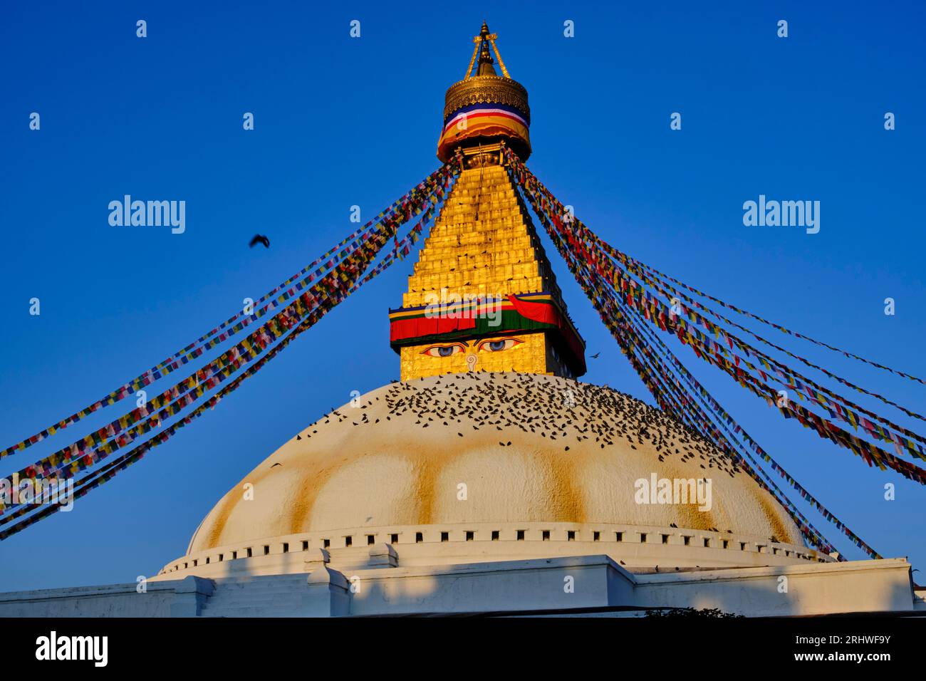 Nepal, Kathmandu valley, Buddhist stupa of Bodnath Stock Photo - Alamy