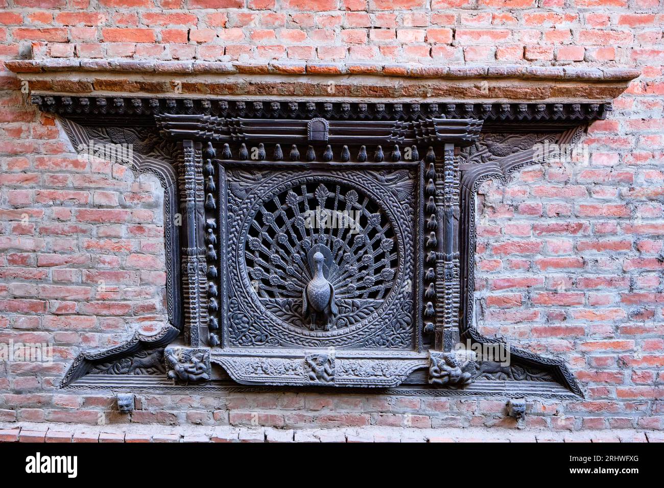 Peacock square hi-res stock photography and images - Alamy