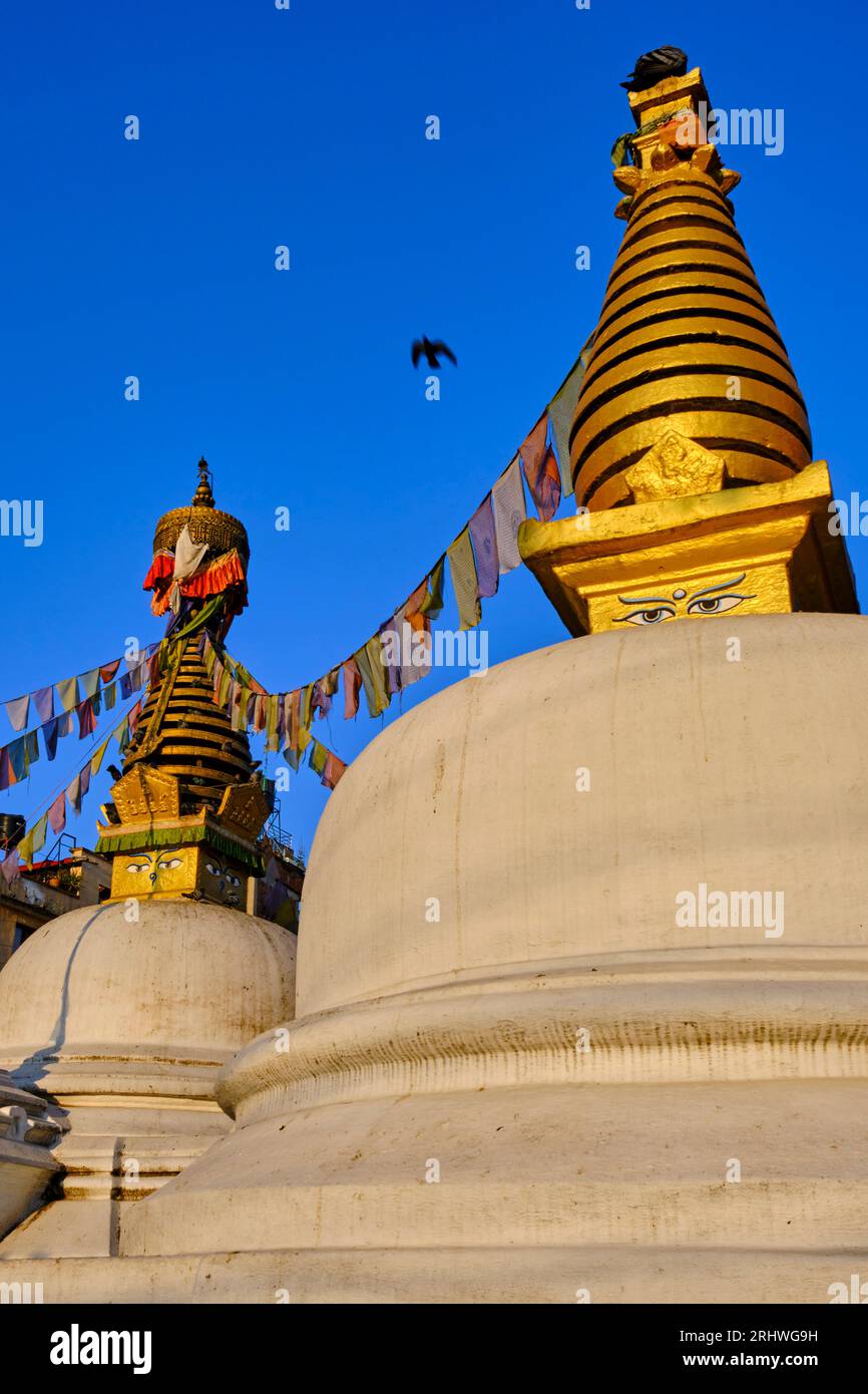 Nepal, Kathmandu valley, Newar city of Patan, Buddhist stupa of Ashok ...