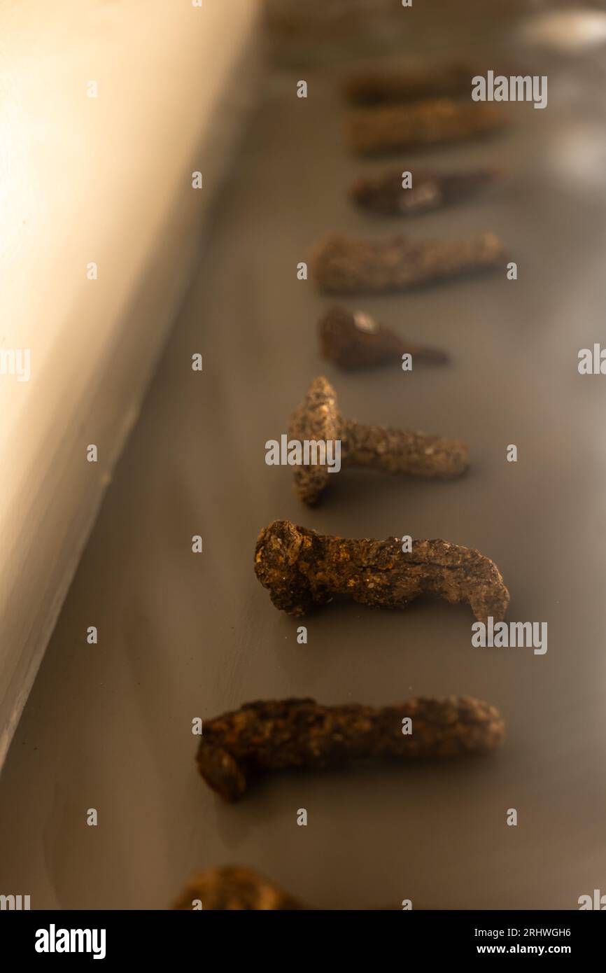 This iron needle was founded at the Keeladi archaeological site Stock ...