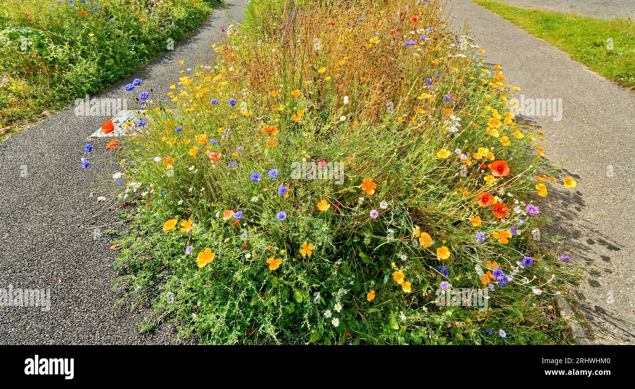 Inverness botanical gardens hi-res stock photography and images - Alamy