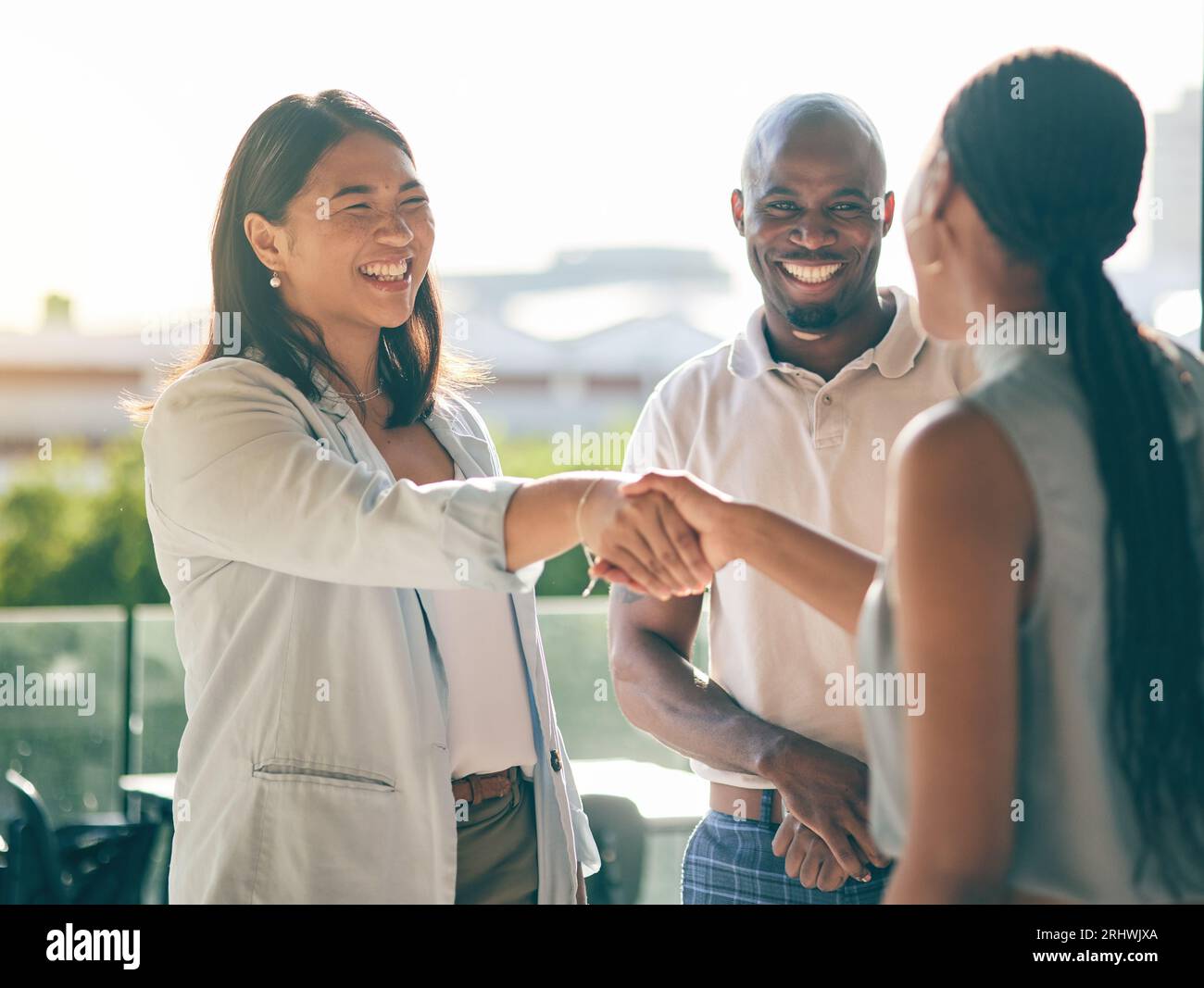 Business people, handshake and happy in collaboration, deal or ...