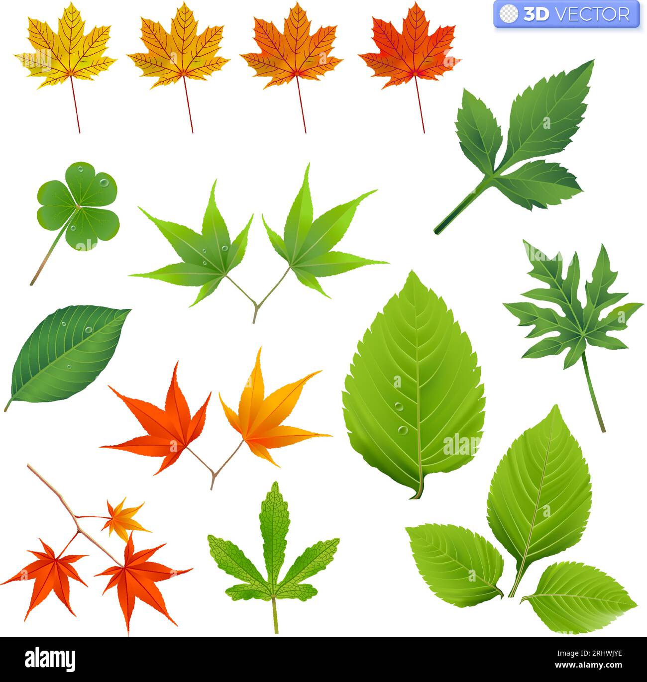 Realistic bright colorful autumn fallen leaves on the white background ...