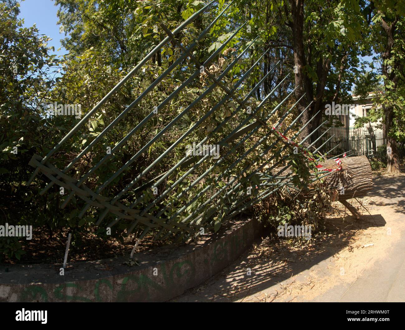 Storm Damage in Milan Stock Photo - Alamy