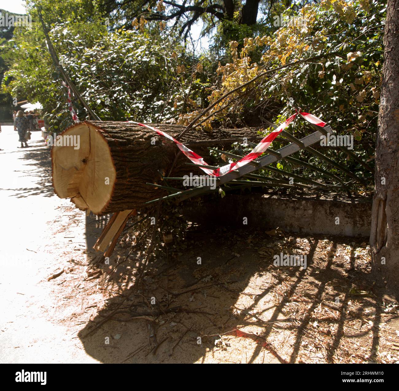 Storm Damage in Milan Stock Photo - Alamy