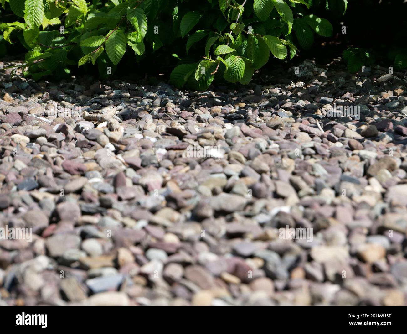 Stone ground pattern, natural stone texture, ground pavement background ...