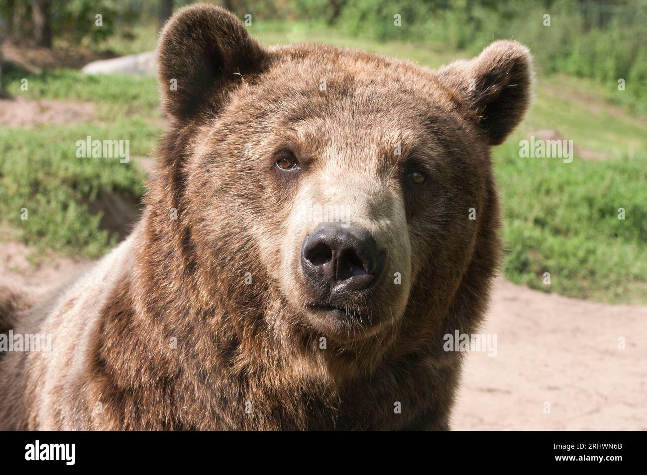 Daar hi-res stock photography and images - Alamy