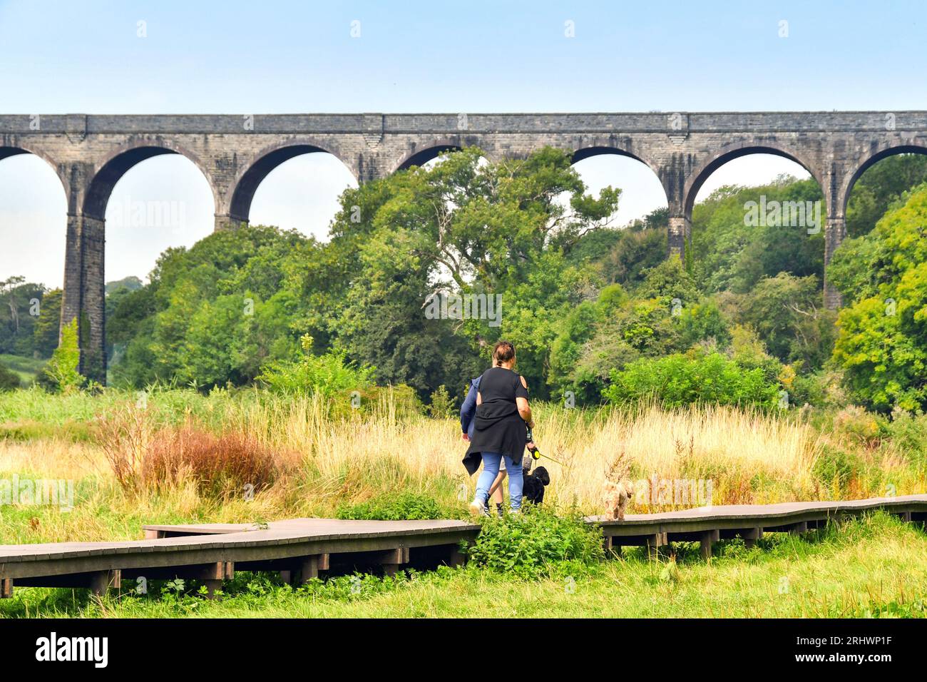 Barry, Wales - 17 August 2023: People walking their dogs on a wooden ...
