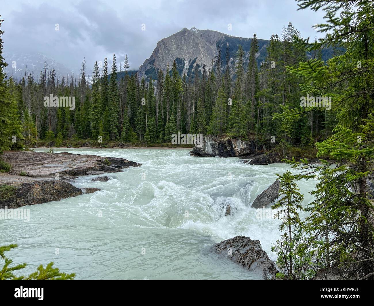 Animal bridge banff hi-res stock photography and images - Alamy