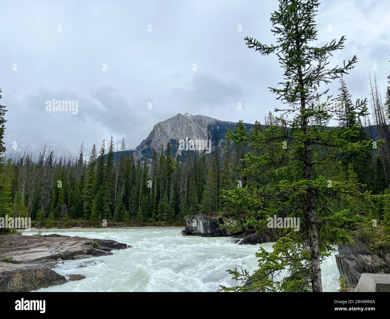The beautiful Natural Bridge Falls in Yoho National Park in Canada ...