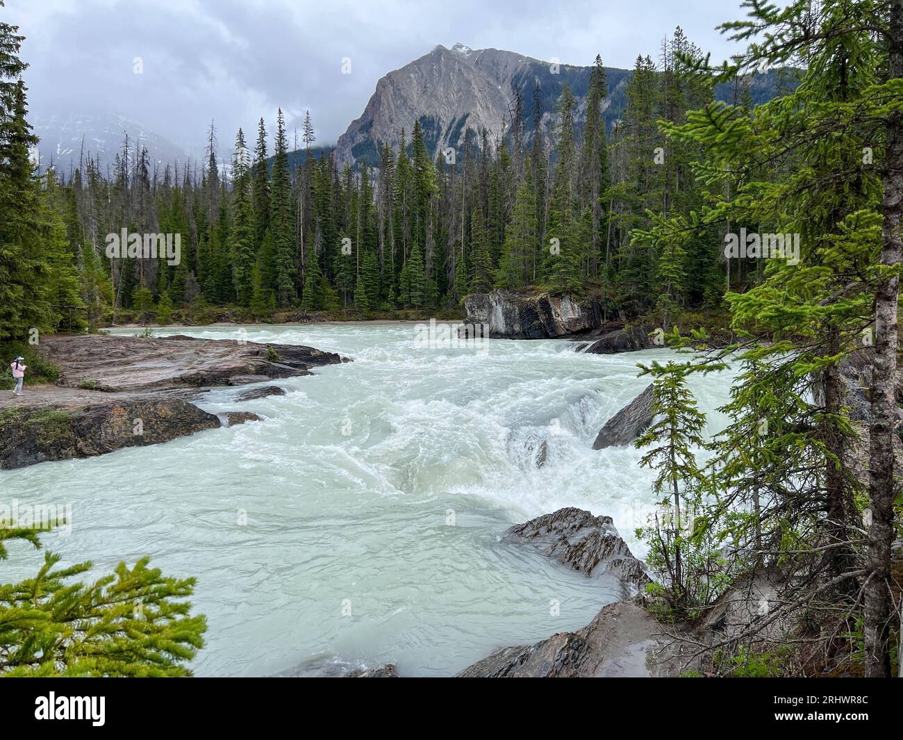Animal bridge banff hi-res stock photography and images - Alamy