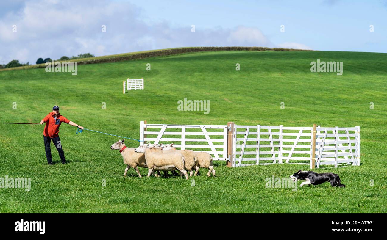 The flash 2023 hi-res stock photography and images - Alamy