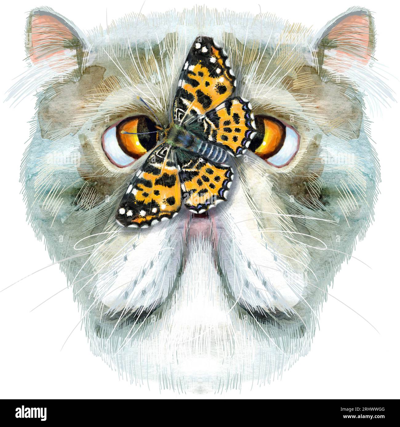 Cute cat with butterfly. Cat for t-shirt graphics. Watercolor Exotic ...