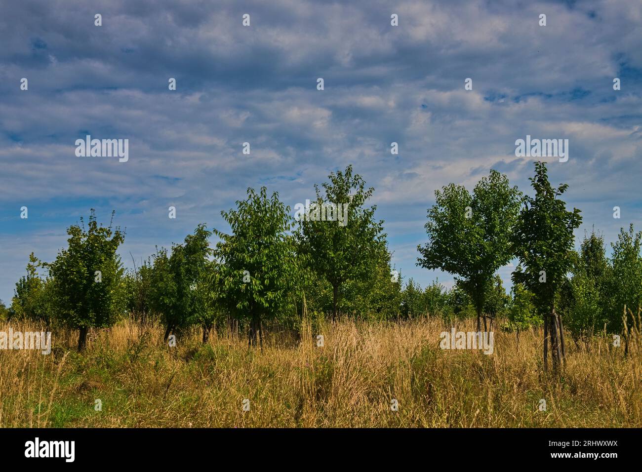 Sumice village in the Brno region, Czech Republic, had 75 hectares of ...