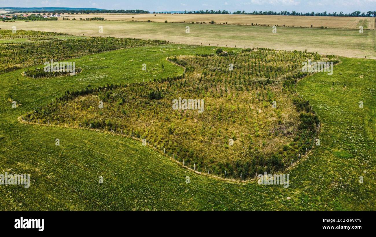 Sumice, Czech Republic. 17th Aug, 2023. Sumice village in the Brno ...