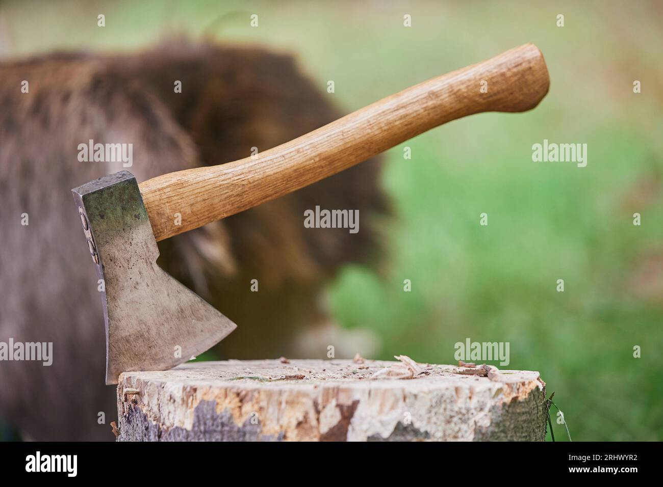 Ancient ax at the Viking Festival in Denmark Stock Photo - Alamy