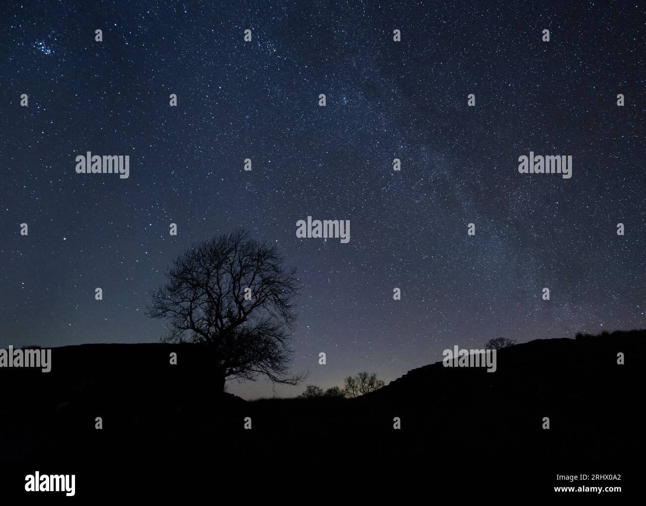 Hadrian's Wall under a starry night sky - a skeletal tree on Walltown ...