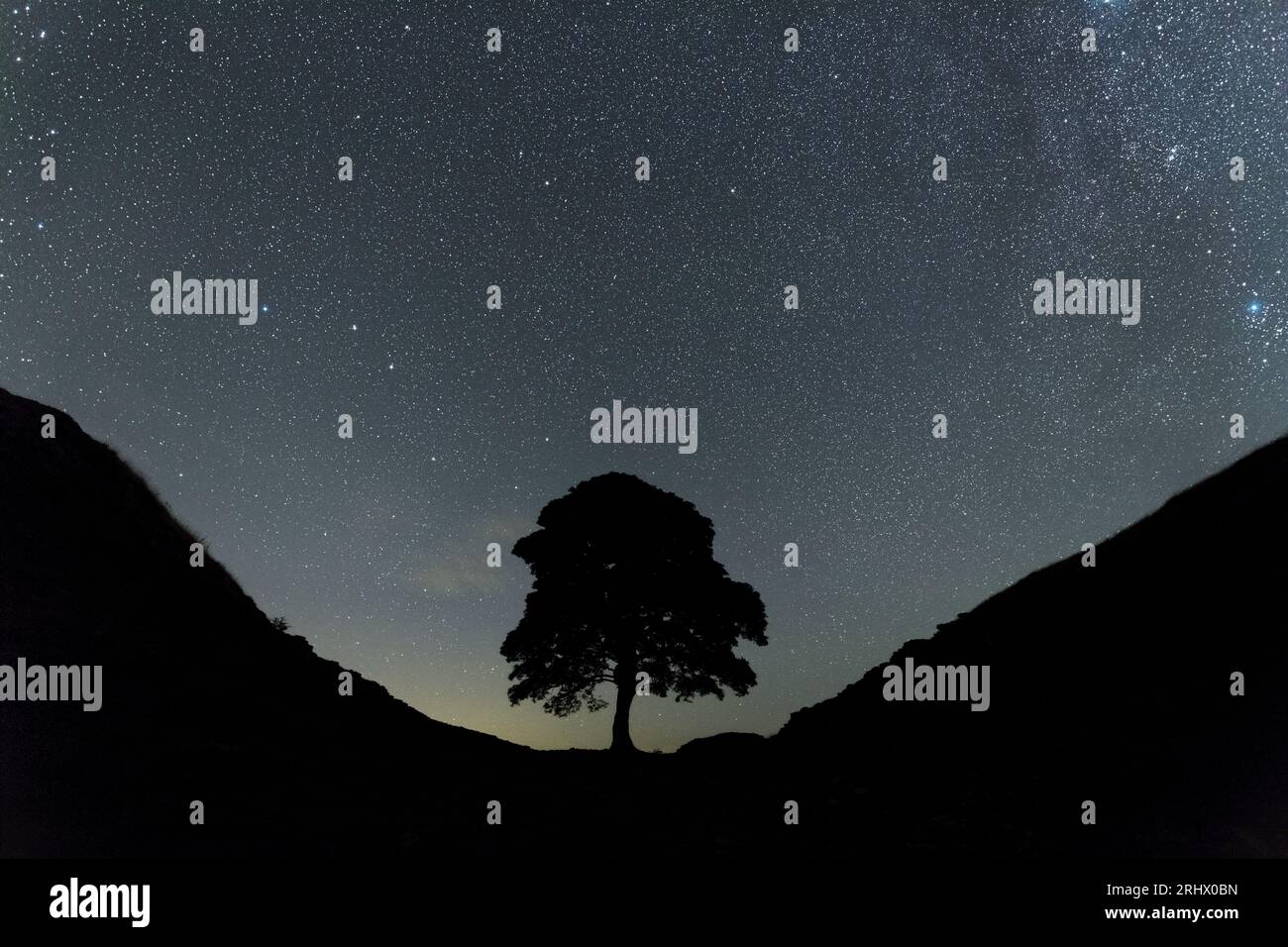 Hadrian's Wall under a starry night sky - Sycamore Gap and the Robin ...