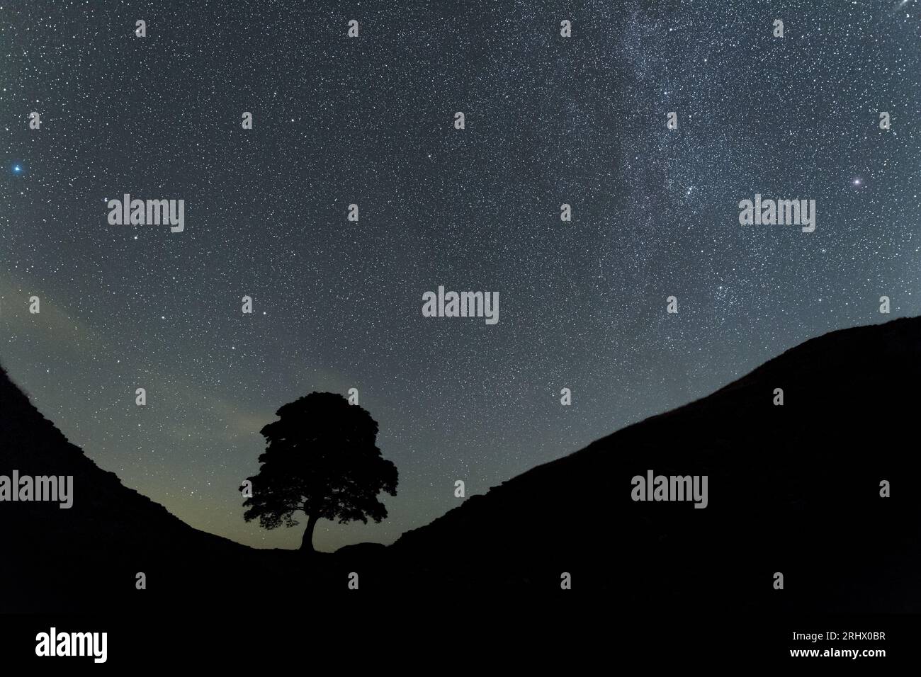 Hadrian's Wall under a starry night sky - Sycamore Gap and the Robin ...