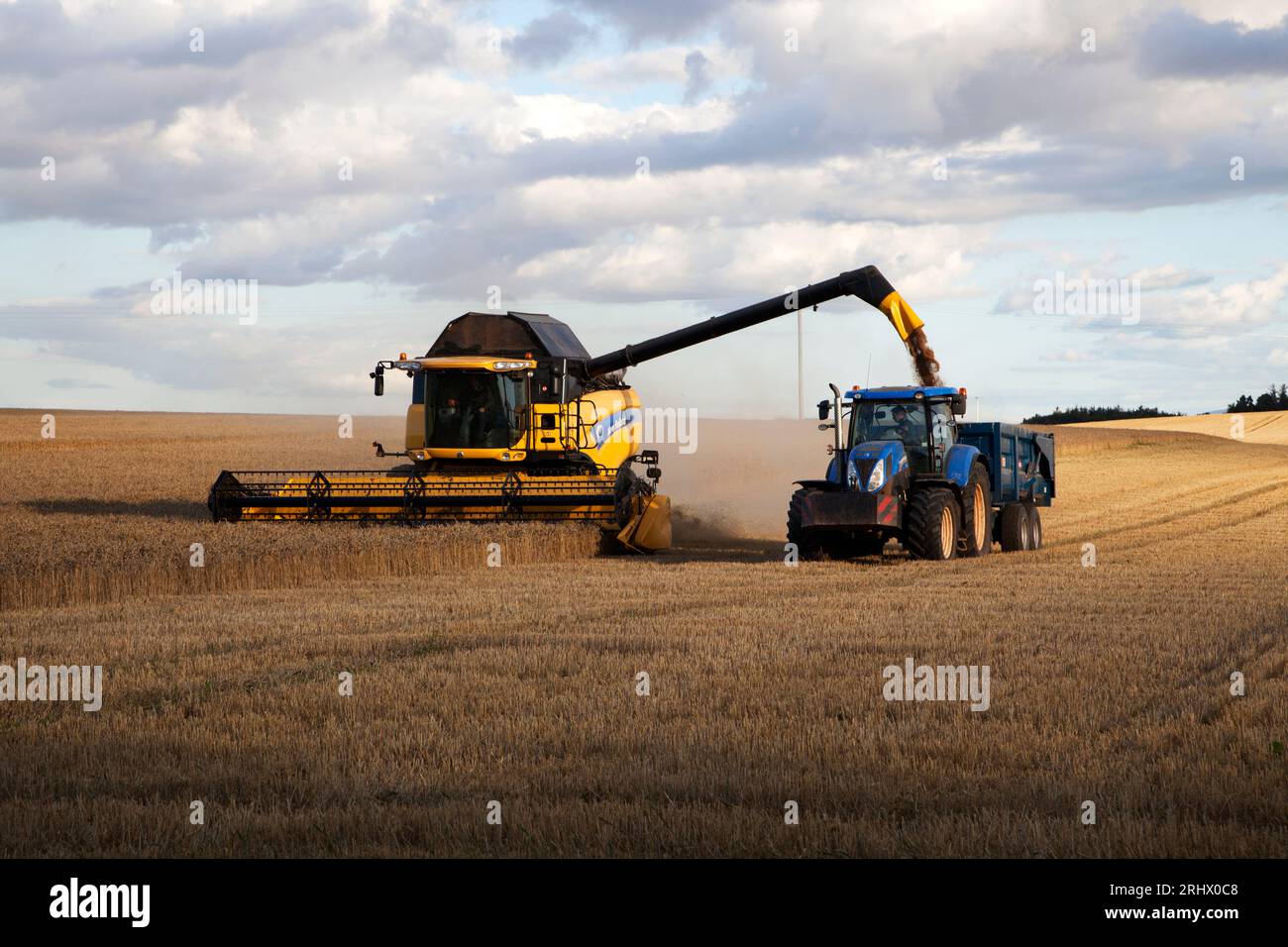 Combine harvester and tractor and trailer in wheat field, Scotland ...