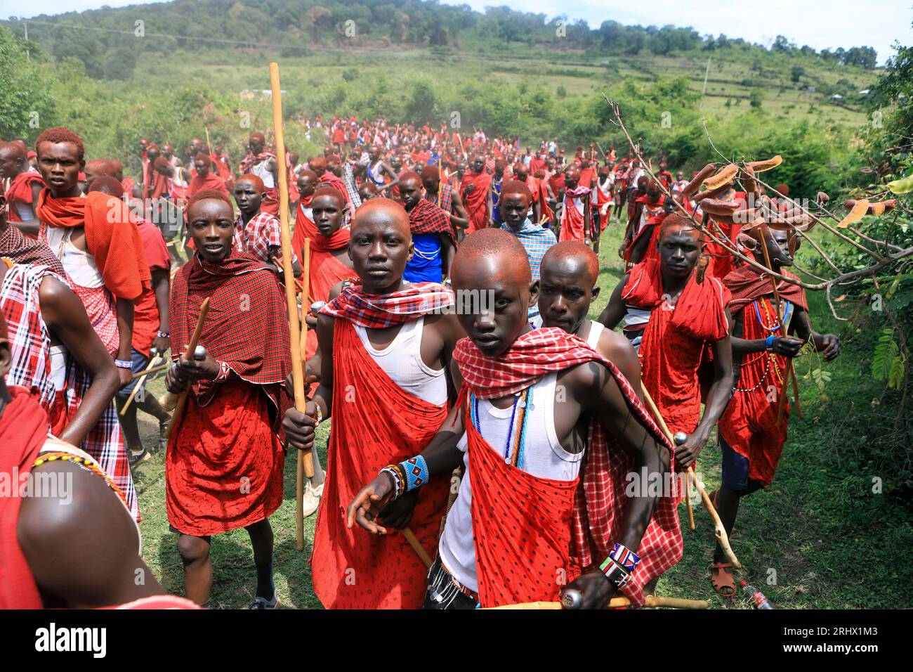 Maasai participants with traditional regalia walk during a Eunoto ...
