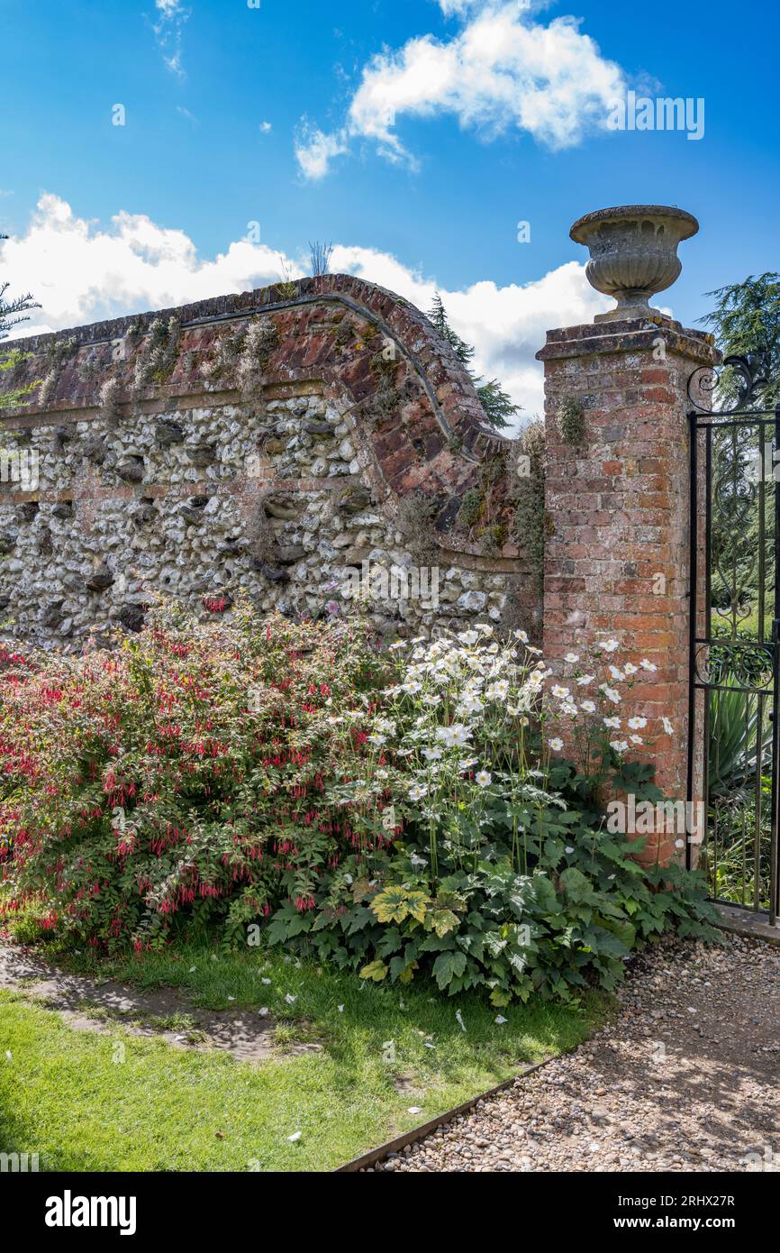 Old brick and flint garden wall creating a micro climate for the plants ...