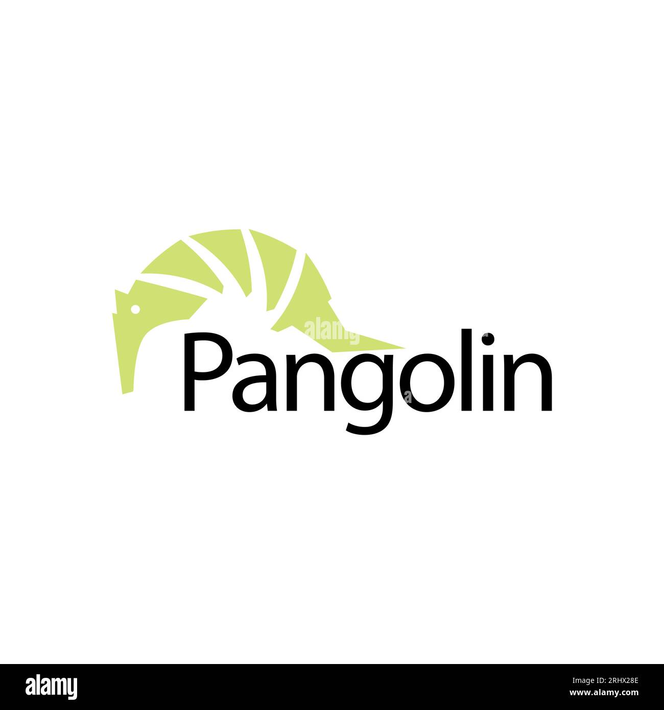 pangolin logo design vector. vector illustration of pangolin icon ...