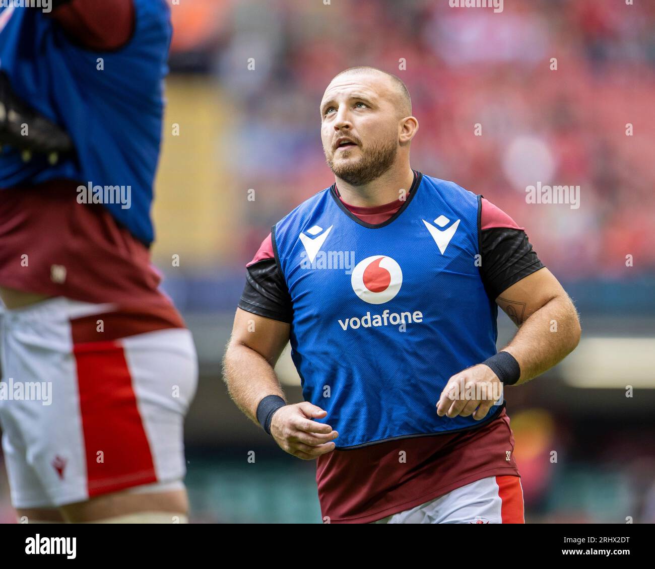 Dillon lewis rugby hi-res stock photography and images - Alamy