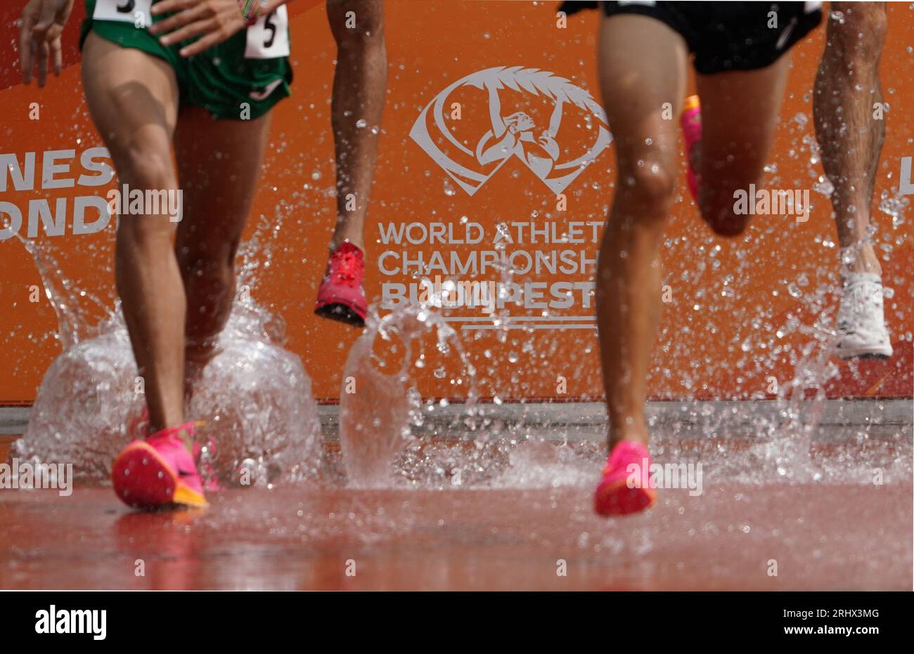 Budapest, Hungary. 19th Aug, 2023. Athletics: World Championship, 3000 ...