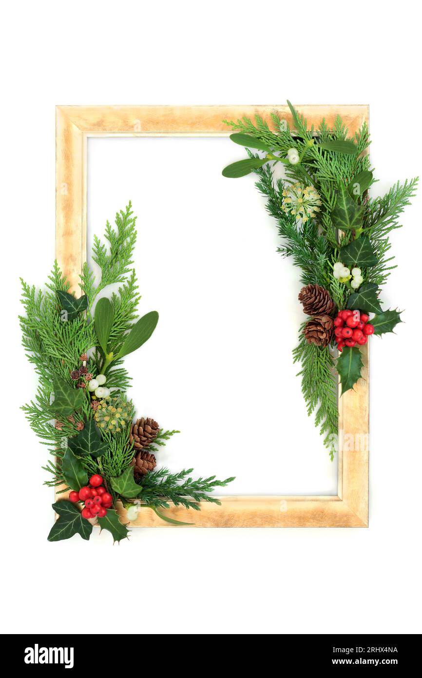 Ivy holidays Cut Out Stock Images & Pictures - Alamy
