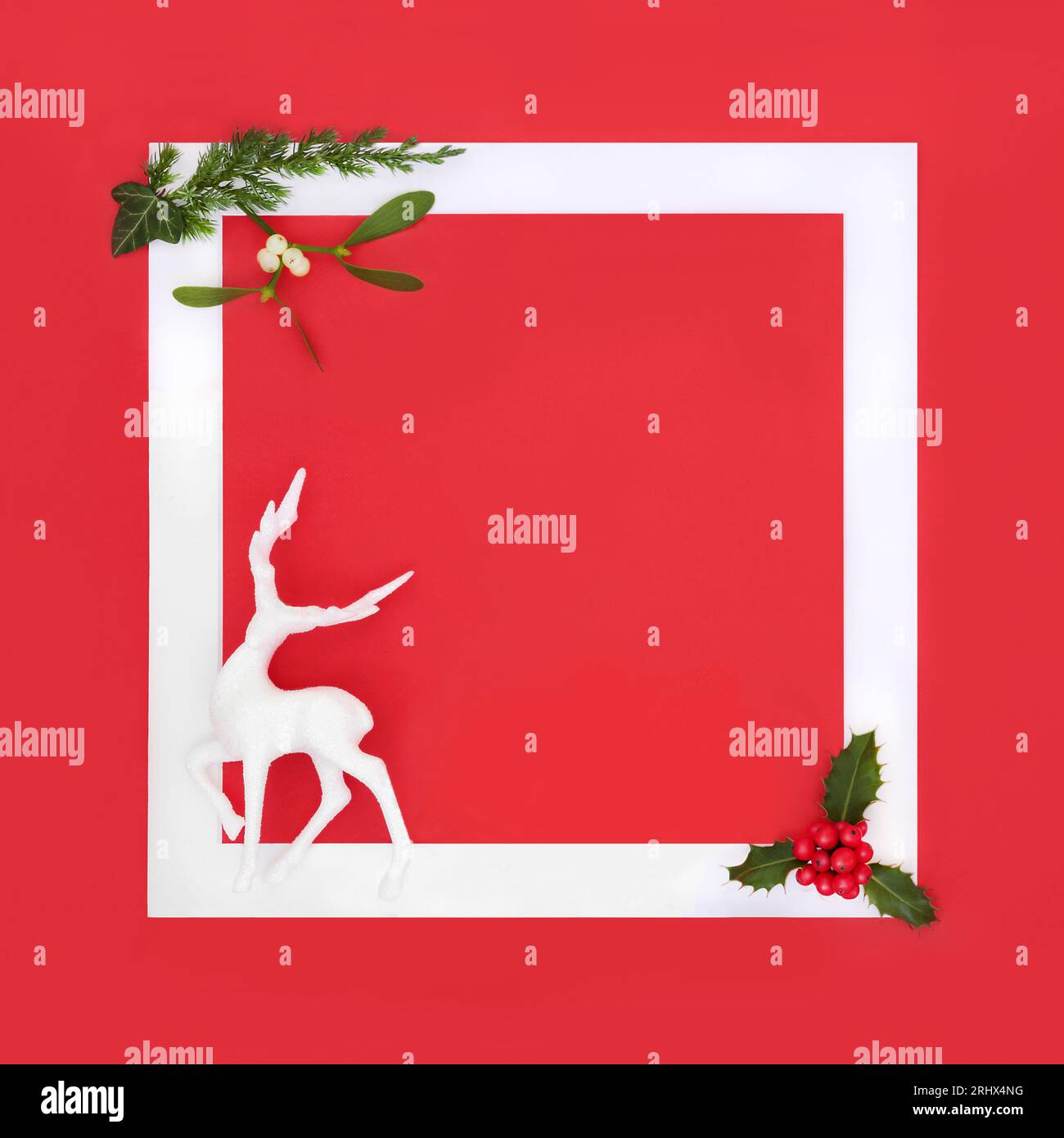 Christmas Eve north pole reindeer, with holly, winter greenery ...