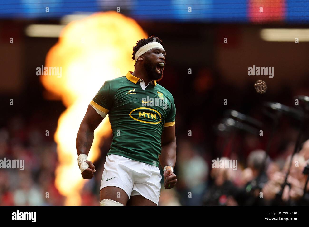 Siya kolisi springboks hi-res stock photography and images - Alamy