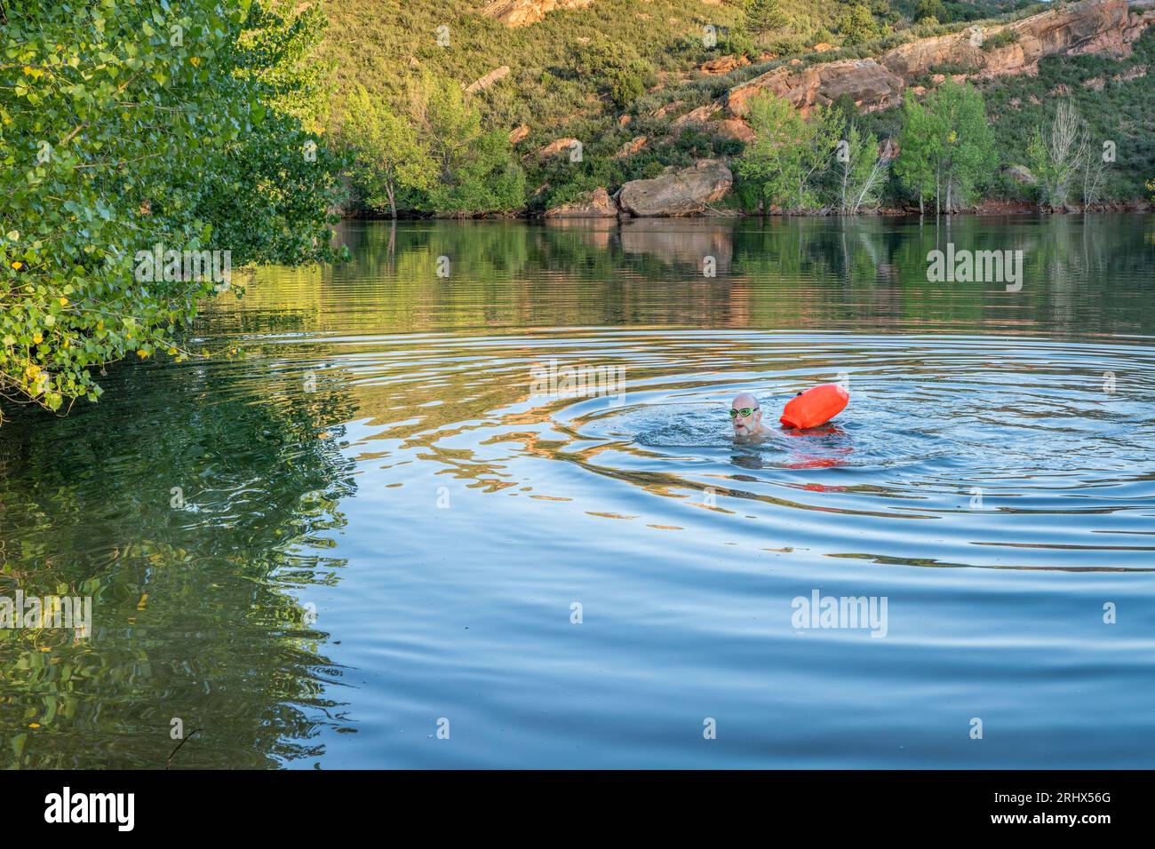 senior man is finishing open water swimming with a swim buoy on a calm ...