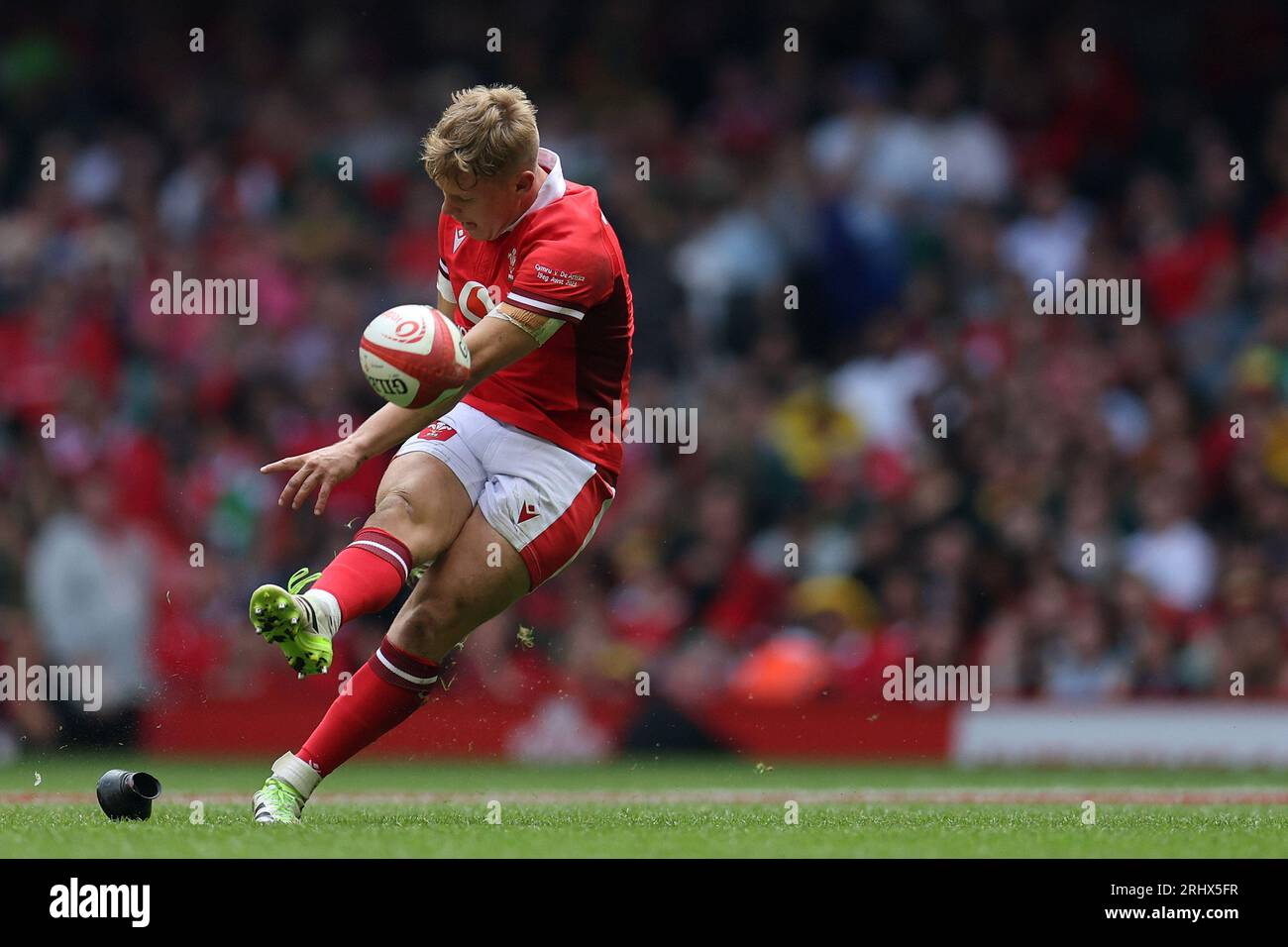 Sam costelow wales rugby hi-res stock photography and images - Alamy