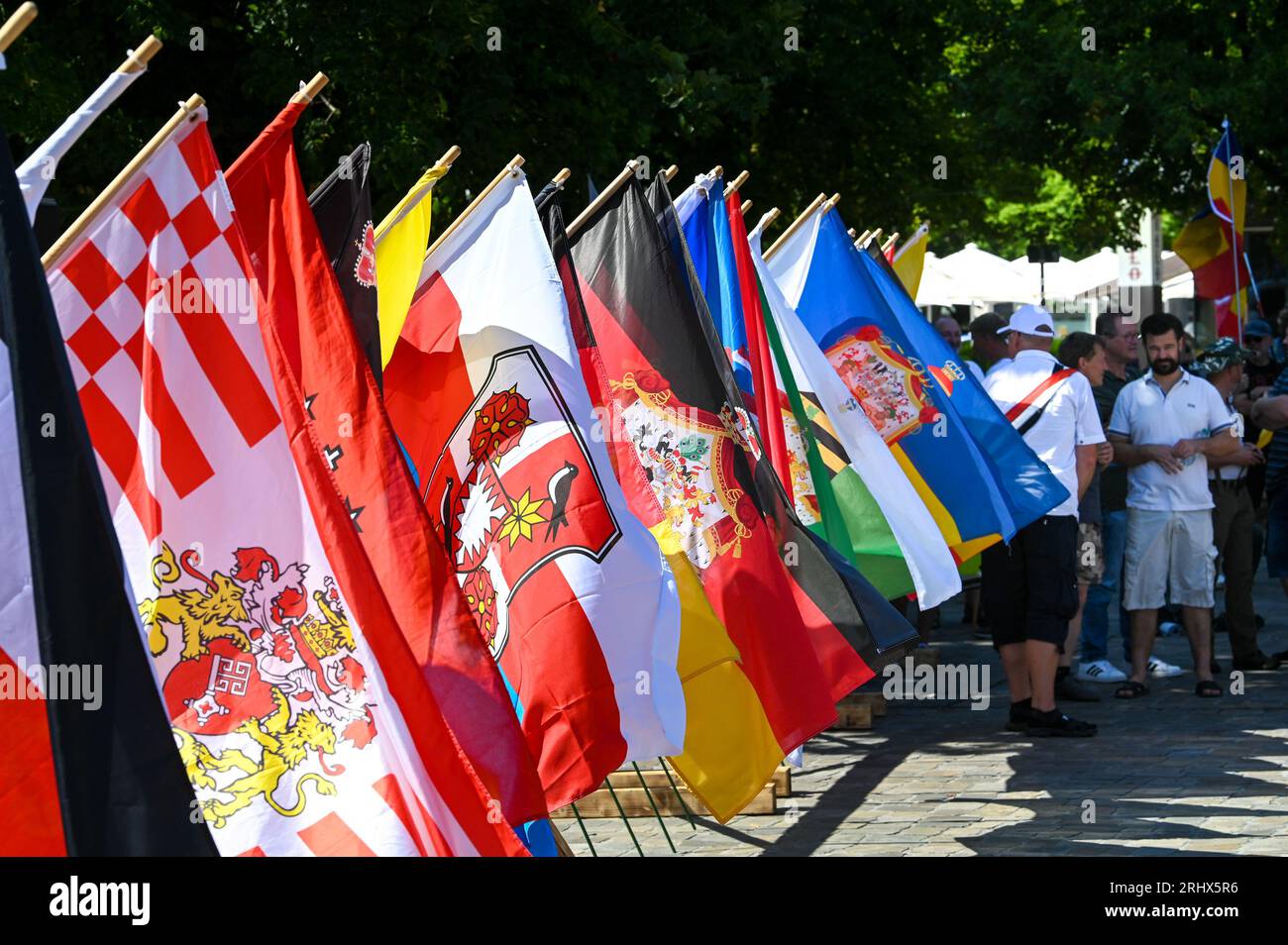 Magdeburg, Germany. 19th Aug, 2023. Flags with the emblems of kingdoms ...