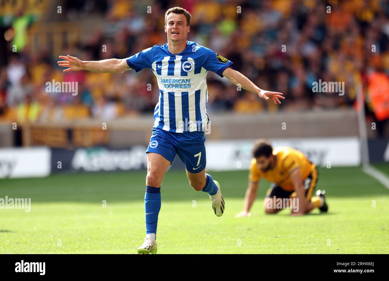 Solly march wolves august 2023 hi-res stock photography and images - Alamy