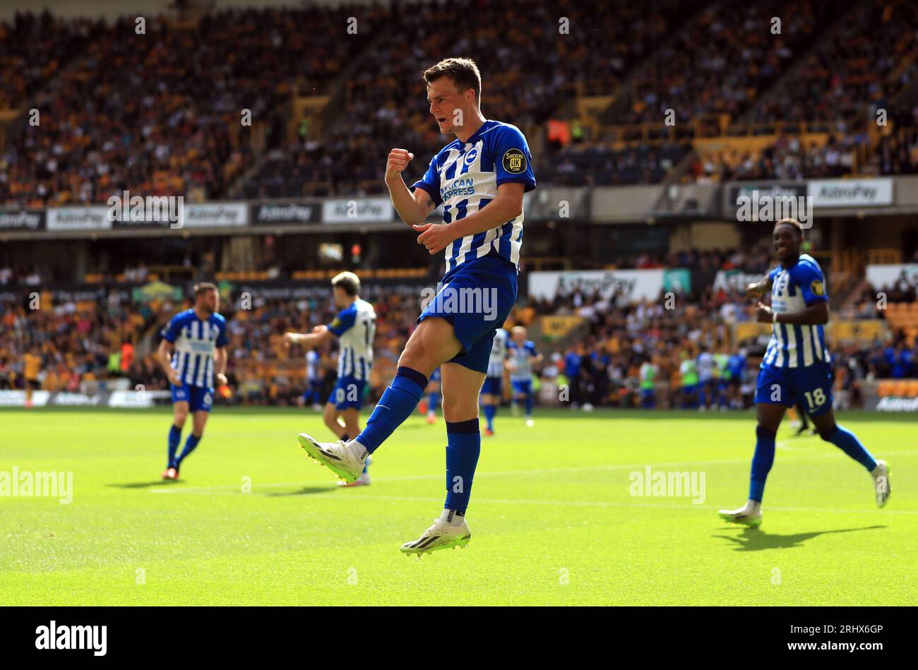 Solly march wolves august 2023 hi-res stock photography and images - Alamy